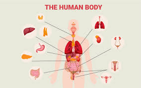 Health Effects